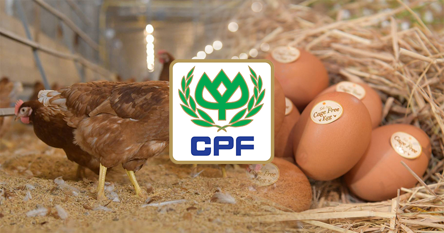 CPF Highlights “Food Security” as Strategic Key for Sustainable Business