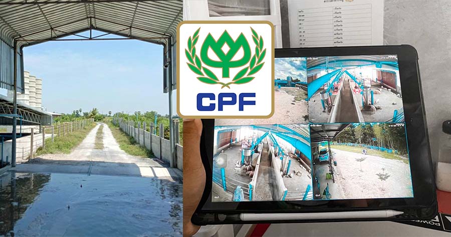 CPF Shares Safety Tips with Contract Farmers in Light of New Covid-19 Wave