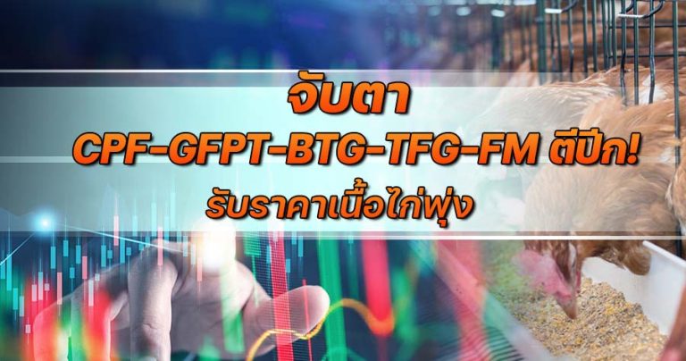 จับตา CPF-GFPT-BTG-TFG-FM ตีปีก! รับราคาเนื้อไก่พุ่ง